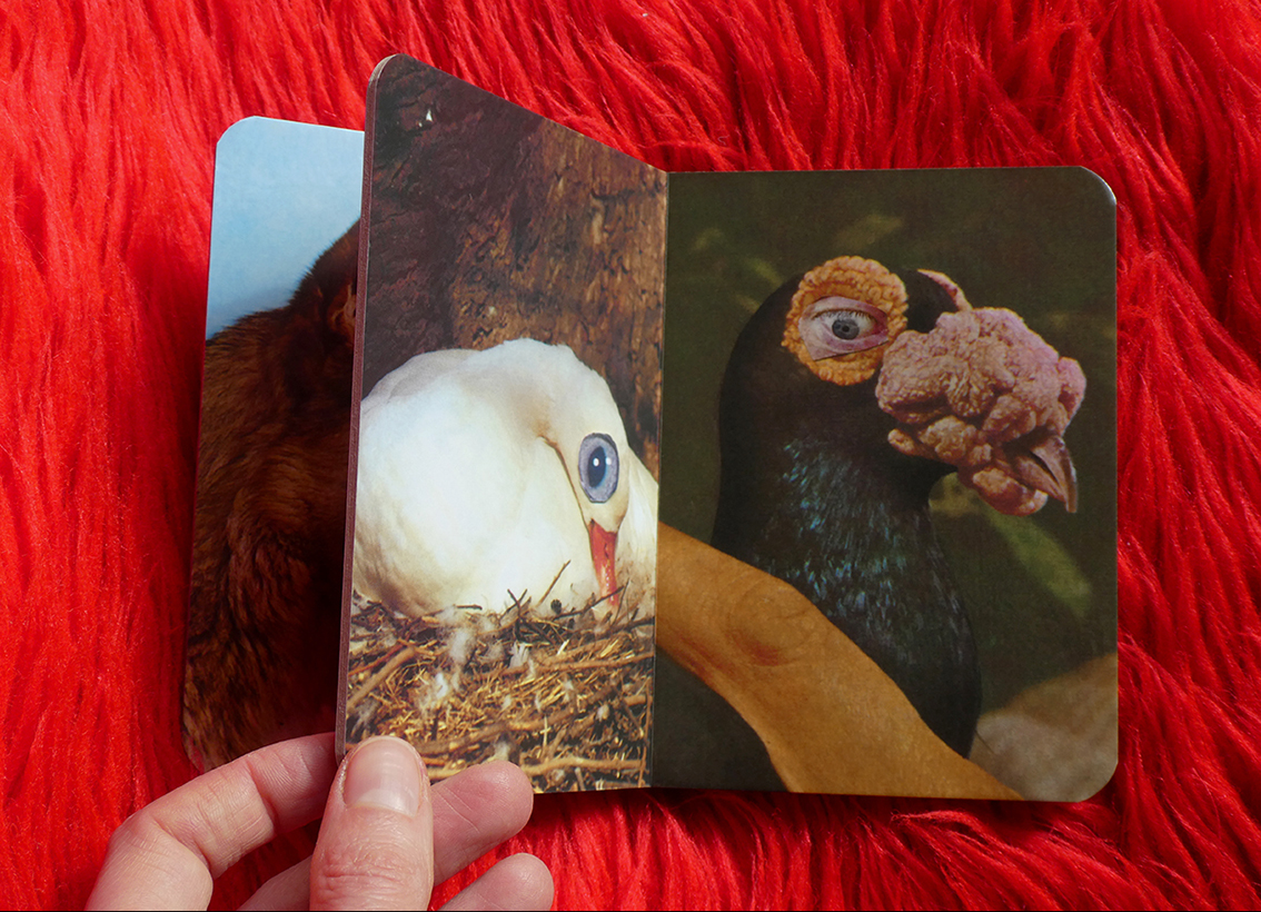 Various Animals – Chantal Rens